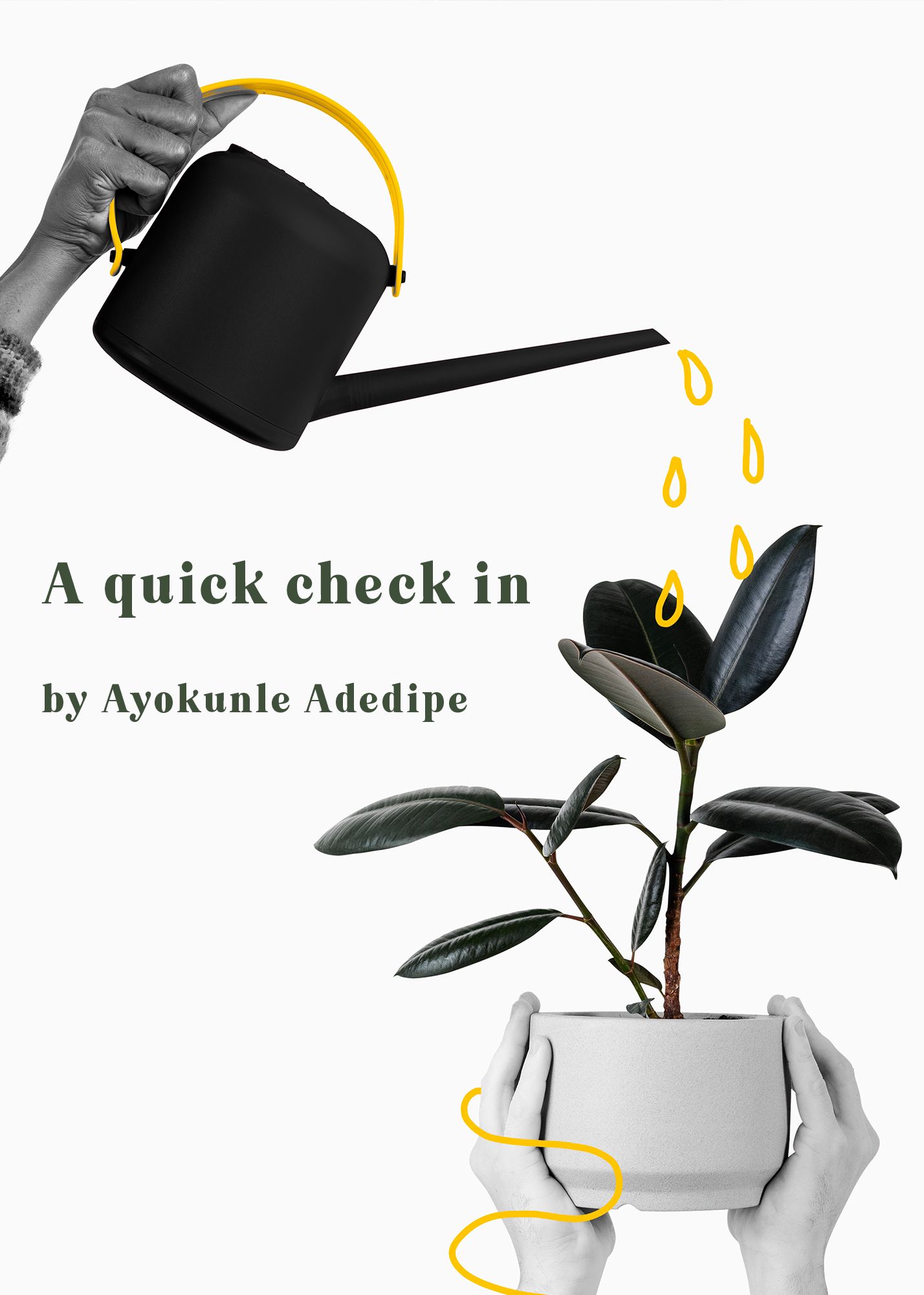 A QUICK CHECK IN - The Olive Branch